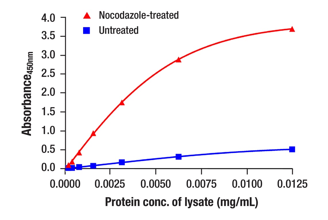 Phospho-Histone H3 (Ser10) Matched Antibody Pair | Cell Signaling Technology