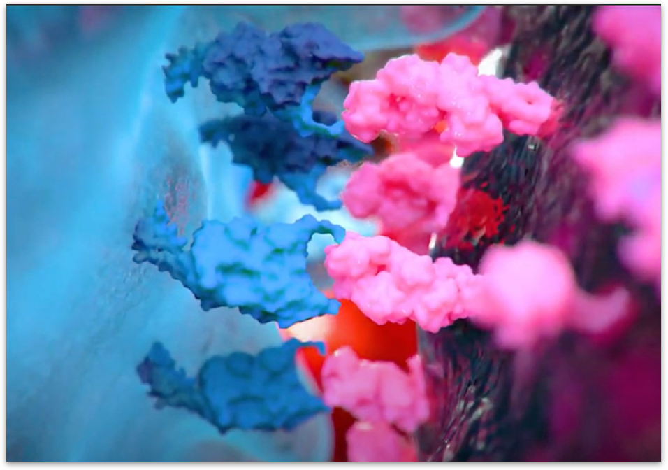 Antibodies, Reagents, Proteomics, Kits and Consumables | Cell Signaling Technology