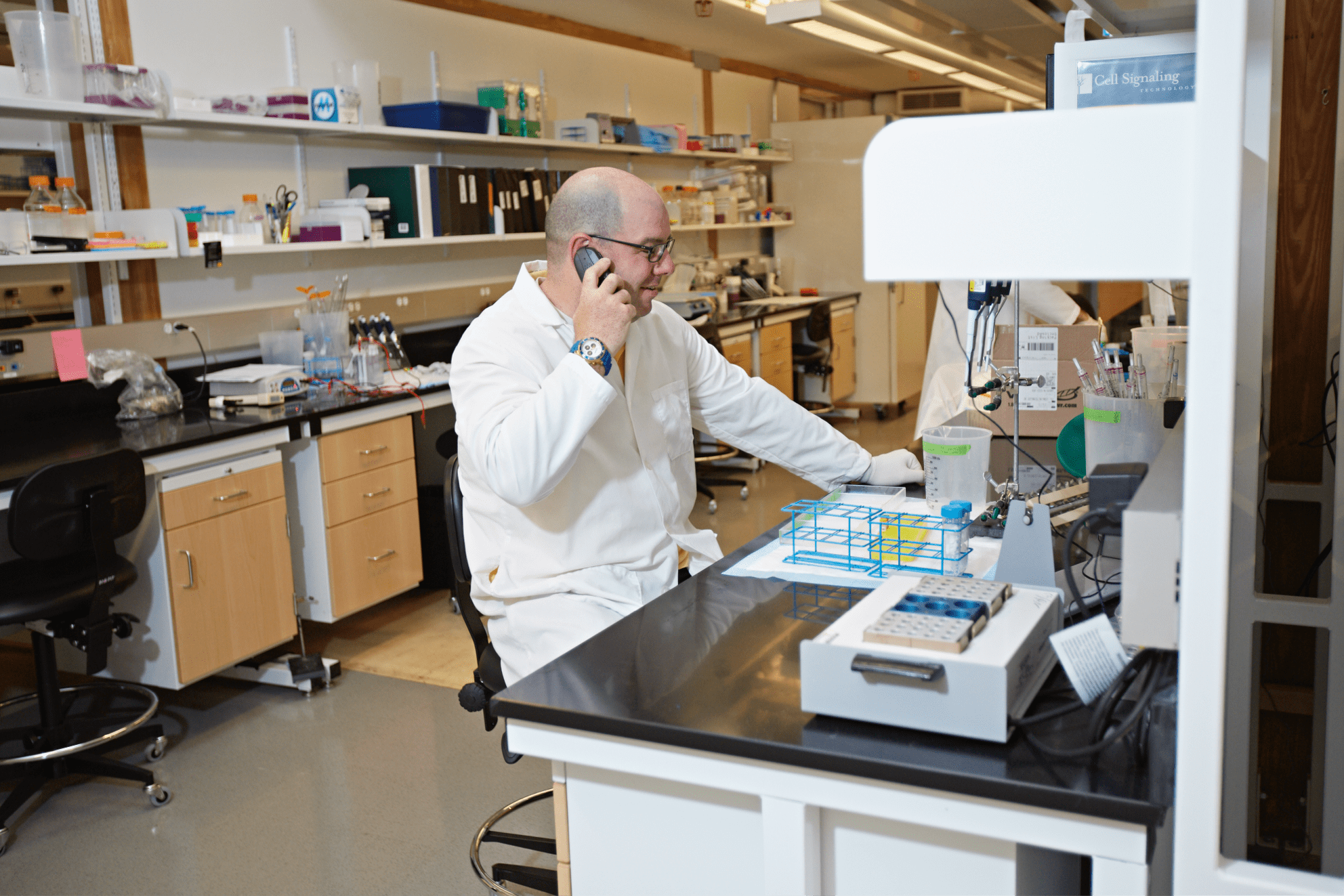 Antibodies, Reagents, Proteomics, Kits and Consumables | Cell Signaling ...