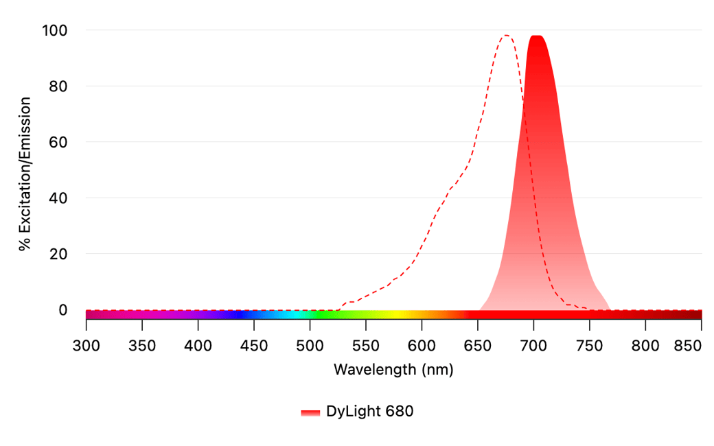 DyLight 680 Conjugated Antibodies | Cell Signaling Technology
