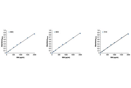 BCA Protein Assay Kit | Cell Signaling Technology