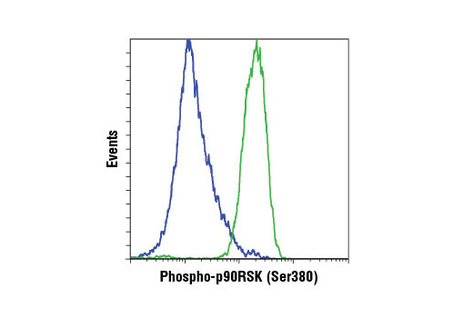 Phospho-p90RSK (Ser380) (D5D8) Rabbit mAb | Cell Signaling Technology