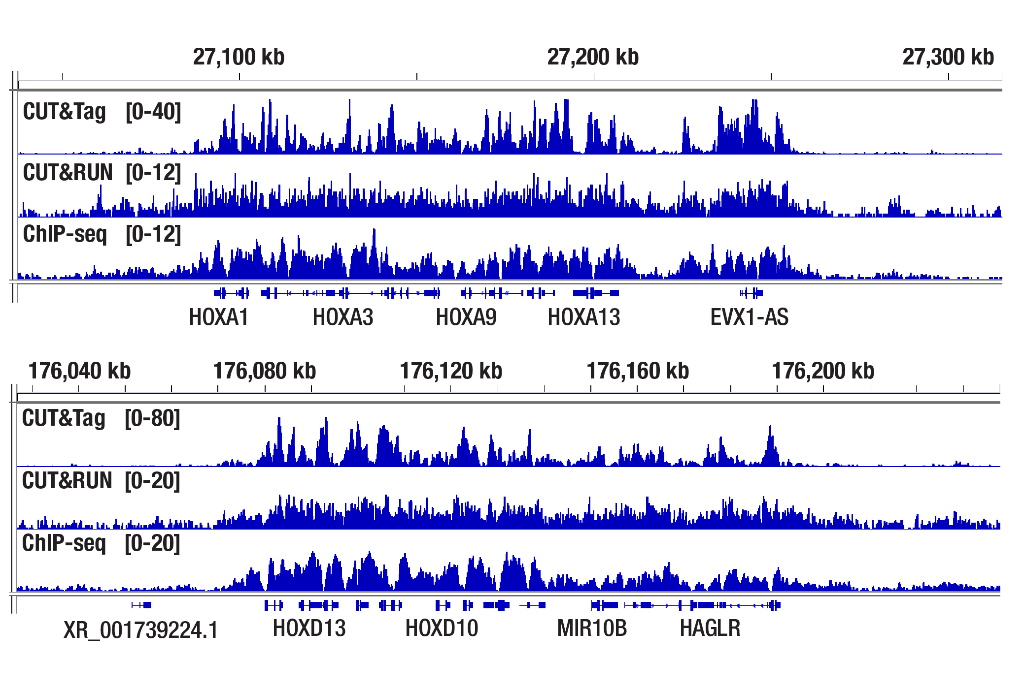 Digitonin Solution | Cell Signaling Technology