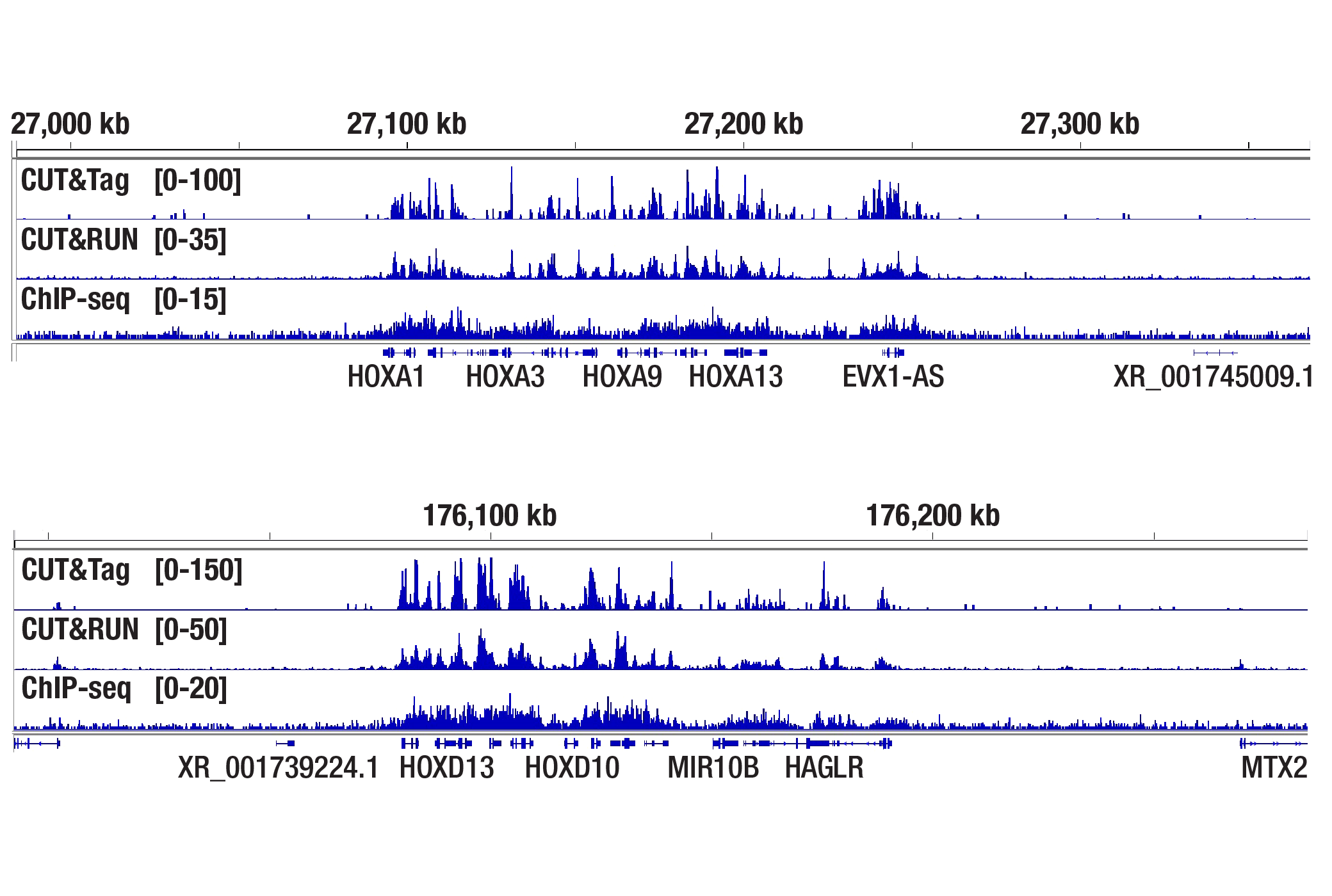 Digitonin Solution | Cell Signaling Technology