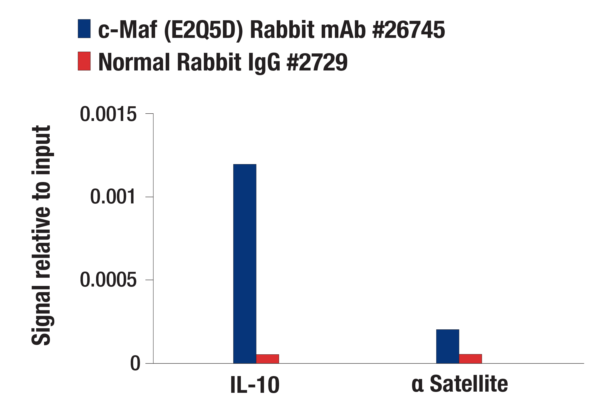 c-Maf (E2Q5D) Rabbit mAb | Cell Signaling Technology