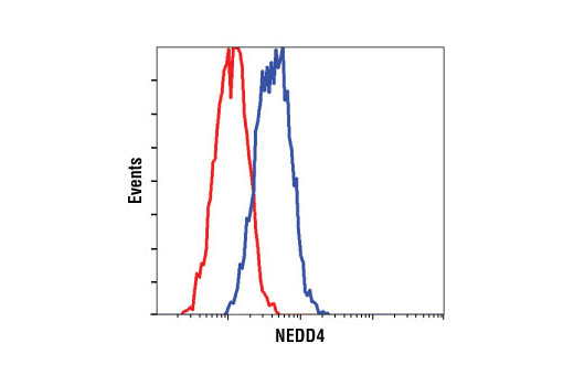 NEDD4 Antibody | Cell Signaling Technology