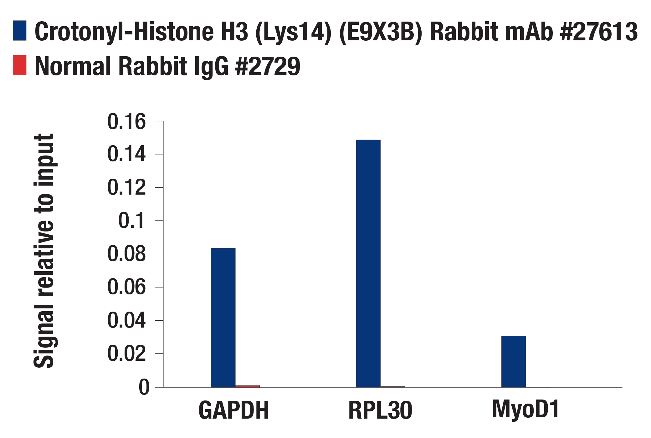 Crotonyl-Histone H3 (Lys14) (E9X3B) Rabbit mAb | Cell Signaling Technology