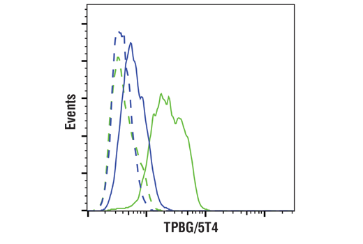 TPBG/5T4 (E4T8Q) Rabbit mAb | Cell Signaling Technology