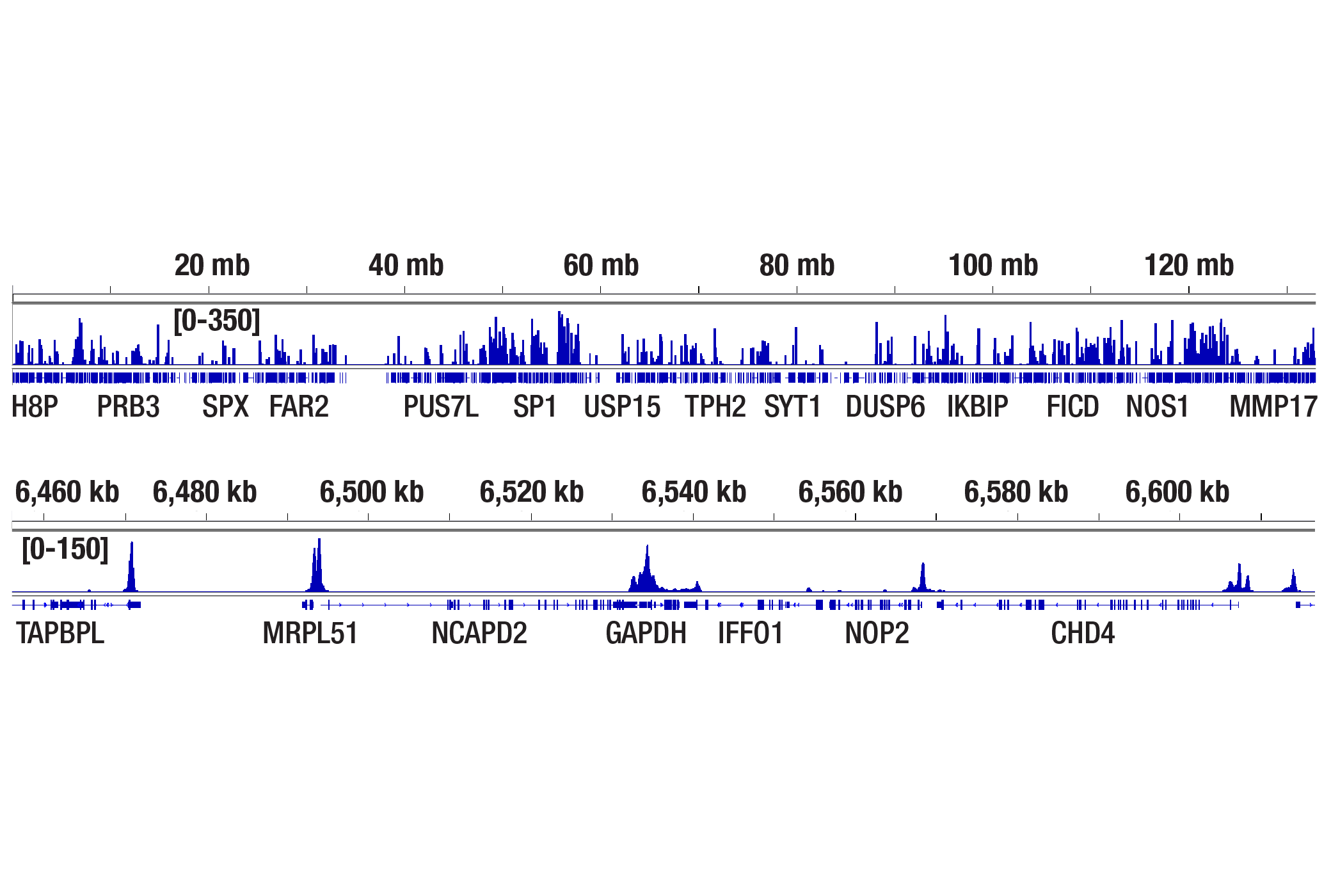 CUT&Tag Dual Index Primers and PCR Master Mix for Illumina Systems ...