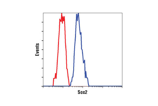 Sox2 (L1D6A2) Mouse mAb | Cell Signaling Technology