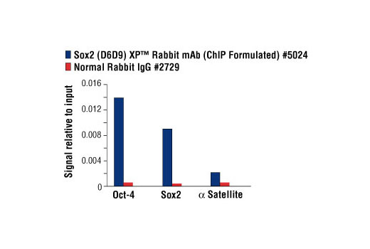 Sox2 D6D9 XP Rabbit MAb ChIP Formulated Cell Signaling Technology
