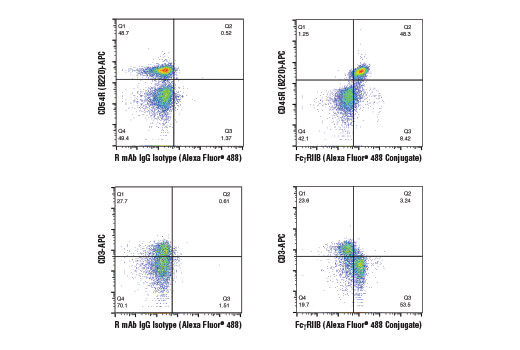 CD16/CD32 (2.4G2) Rat mAb (IF Formulated) | Cell Signaling Technology