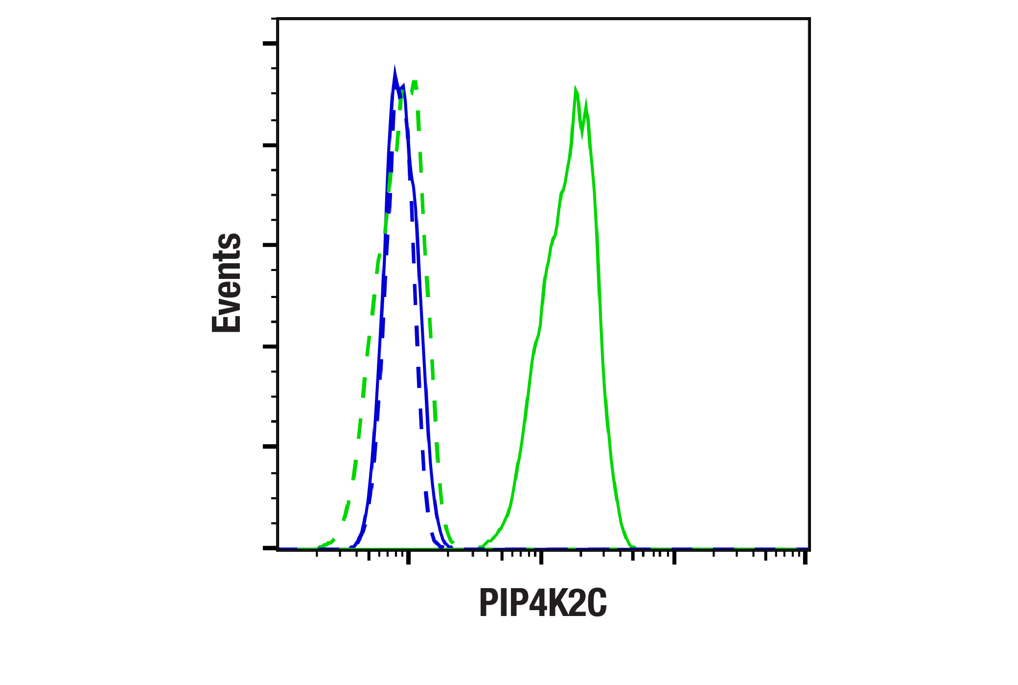 PIP4K2C (E7P3S) Rabbit mAb | Cell Signaling Technology