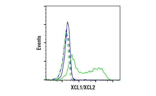 XCL1/XCL2 (E9D3H) Rabbit mAb | Cell Signaling Technology