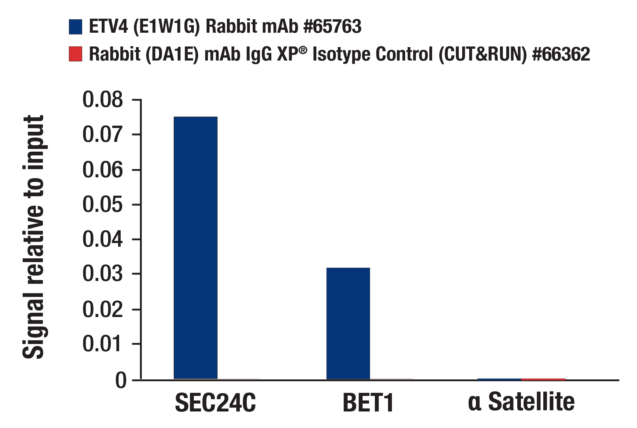 ETV4 (E1W1G) Rabbit mAb | Cell Signaling Technology
