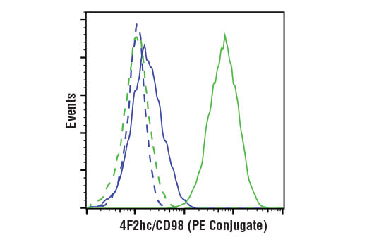 xCT/SLC7A11 Antibody | Cell Signaling Technology