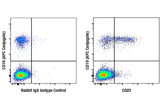 CD23 (E5P8Z) Rabbit mAb | Cell Signaling Technology