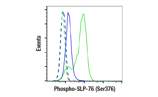 Human Anti-CD3/CD28 T Cell Activation Kit | Cell Signaling Technology