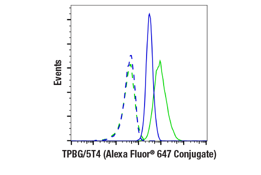 TPBG/5T4 (E4T8Q) Rabbit mAb (Alexa Fluor® 647 Conjugate) | Cell ...