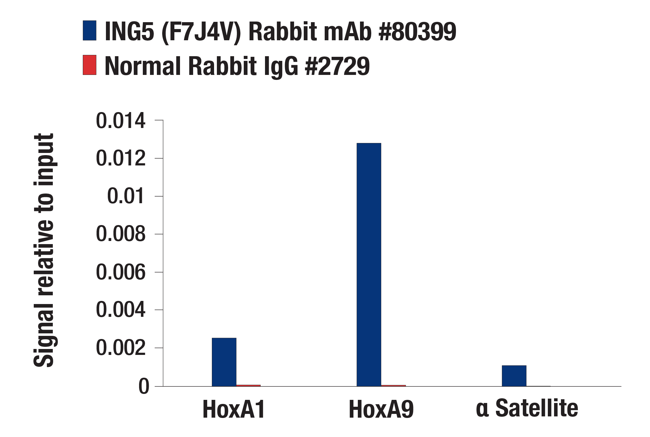 ING5 (F7J4V) Rabbit mAb | Cell Signaling Technology