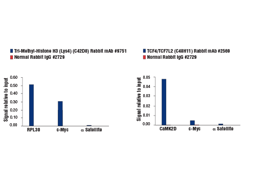 SimpleChIP® Universal qPCR Master Mix | Cell Signaling Technology