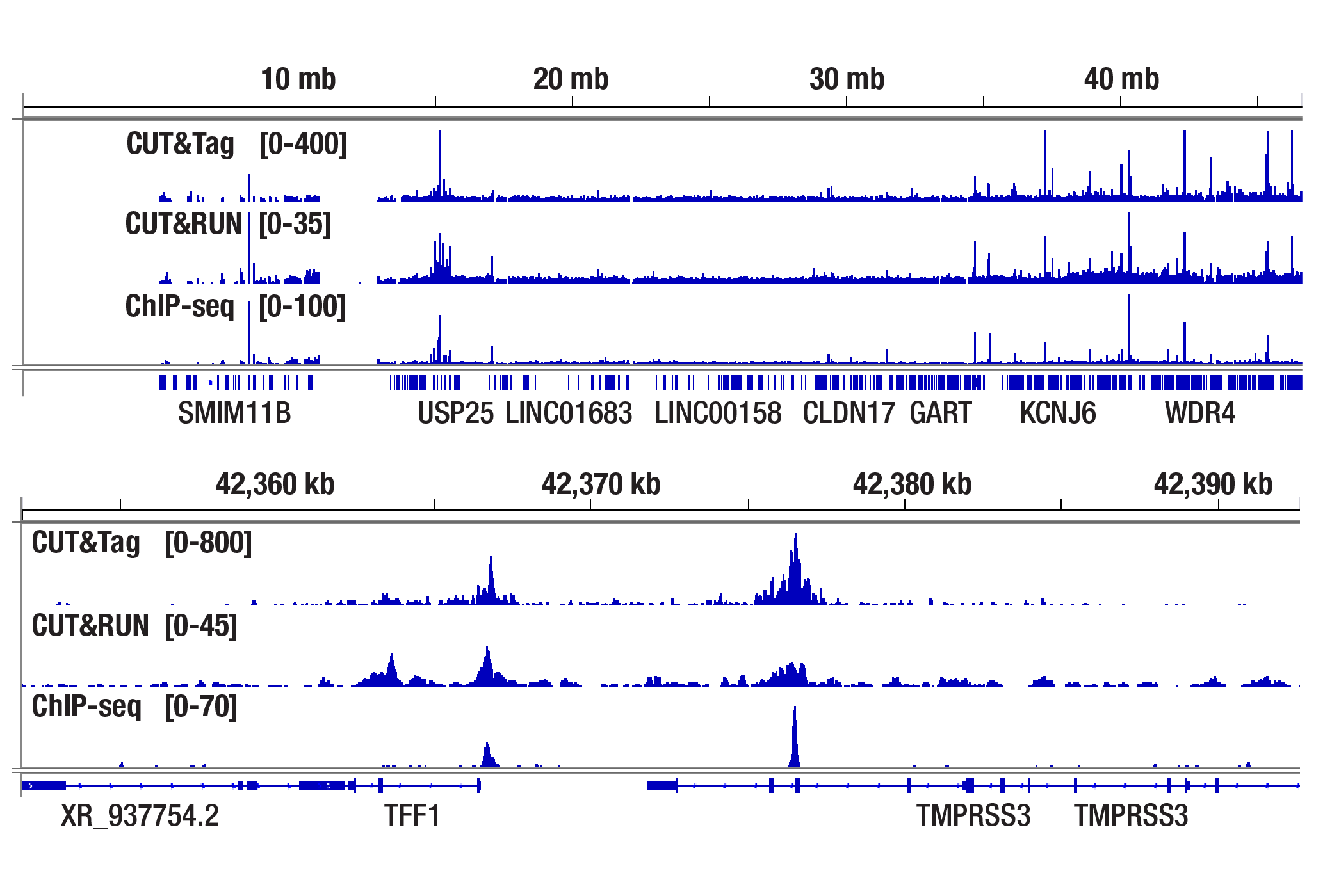 Concanavalin A Magnetic Beads and Activation Buffer | Cell Signaling ...