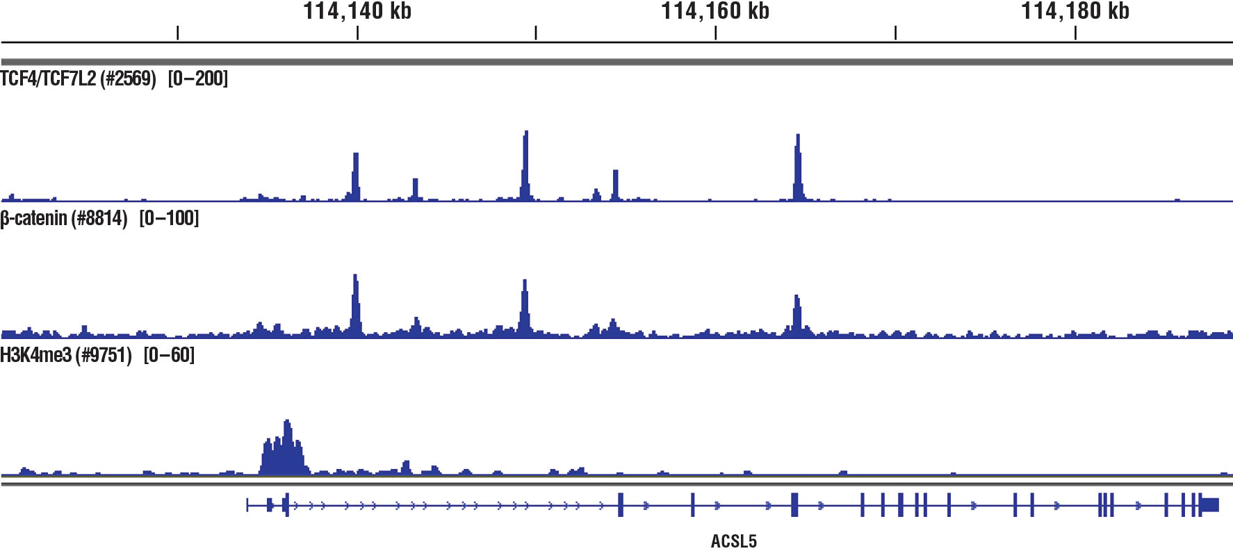 DRAQ5® | Cell Signaling Technology