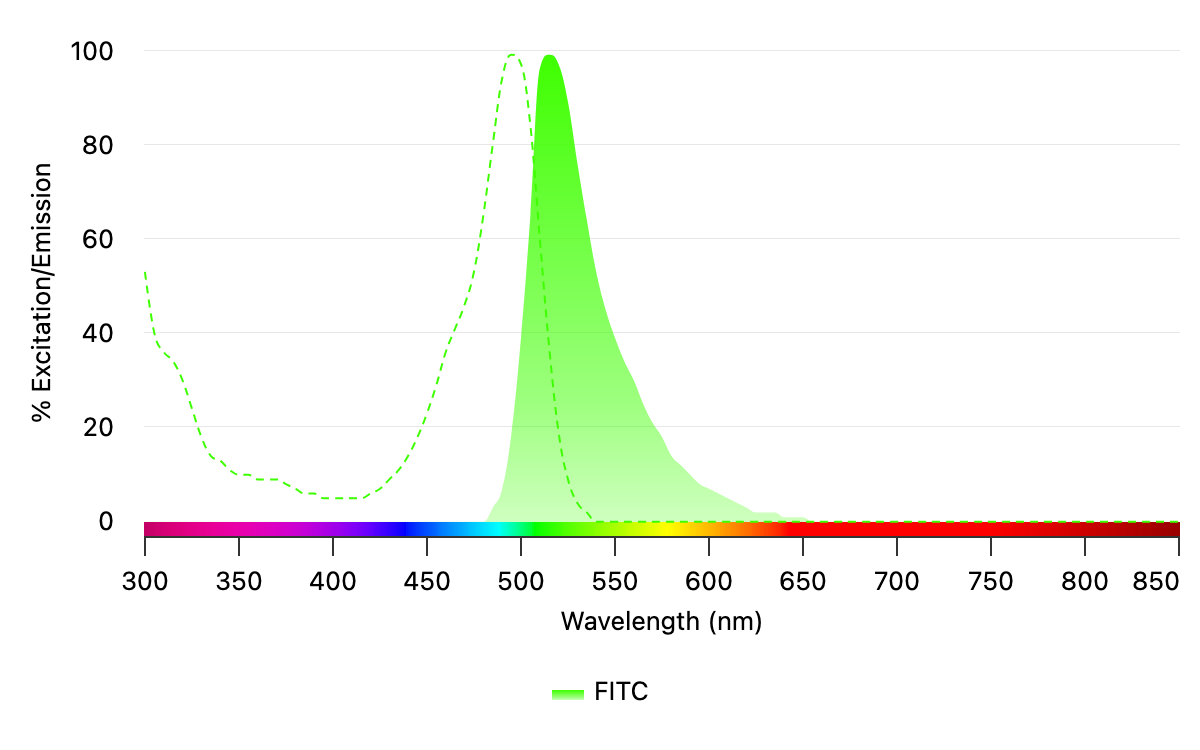 FITC Conjugated Antibodies | Cell Signaling Technology